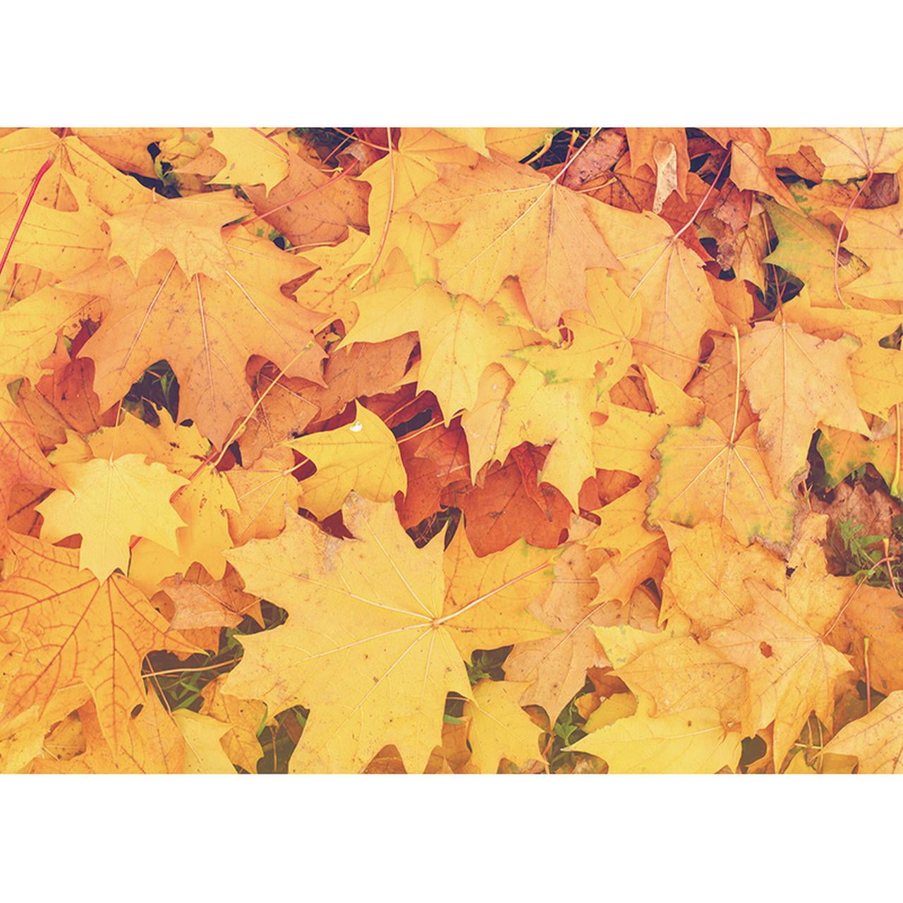 Gold Leaves Tropical Plants Photography Backdrops Props Rainforest ...