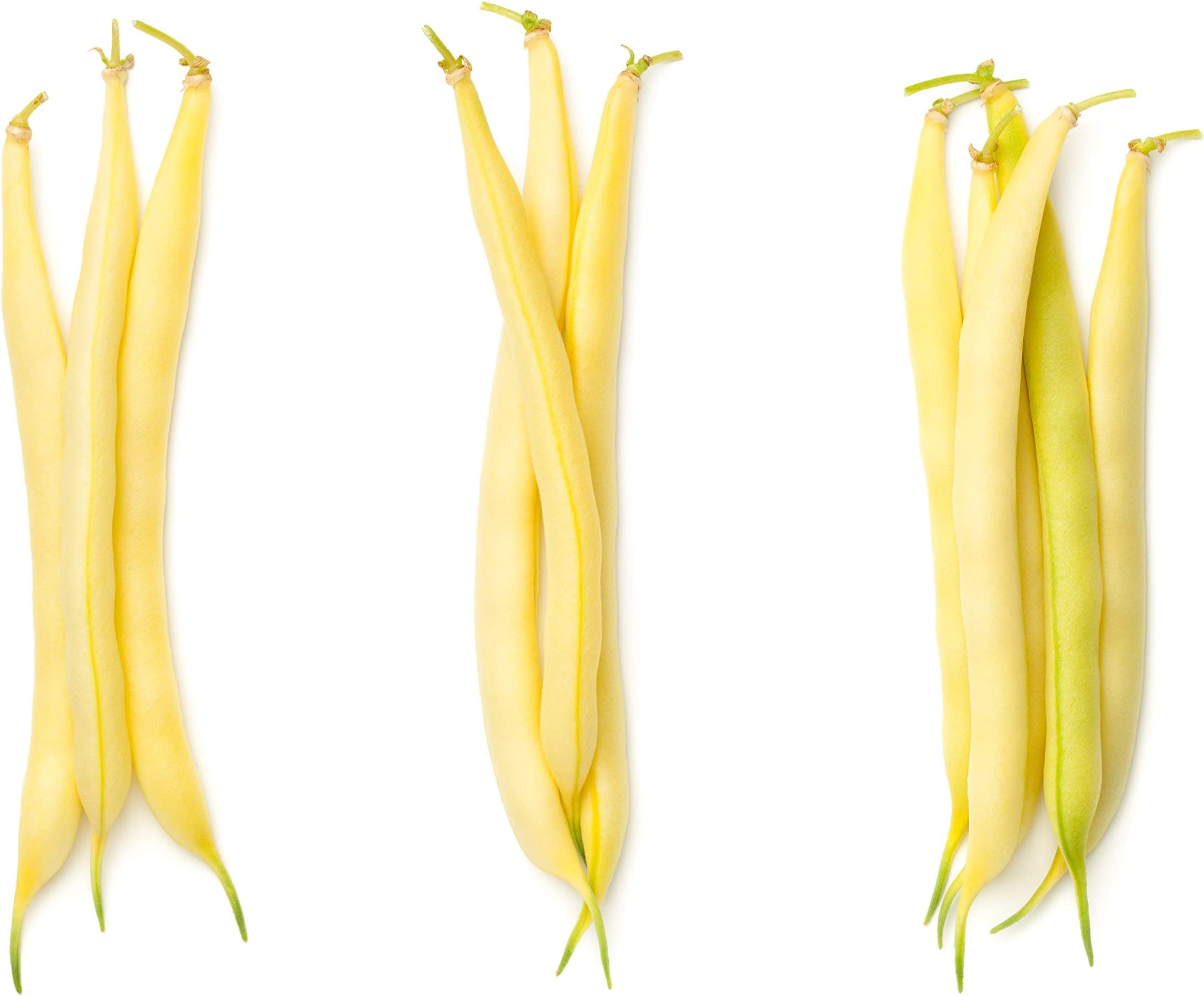 Gold Mine Bean Seeds for Planting | 50+ Seeds + | Made in USA - Walmart.com