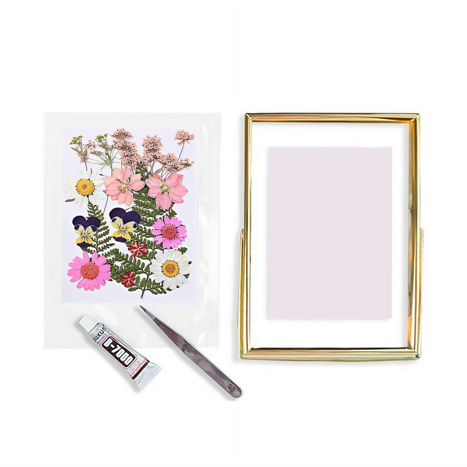 Gold Picture Frame Set w Dried Flowers and Tweezer Double Glass Pressed ...