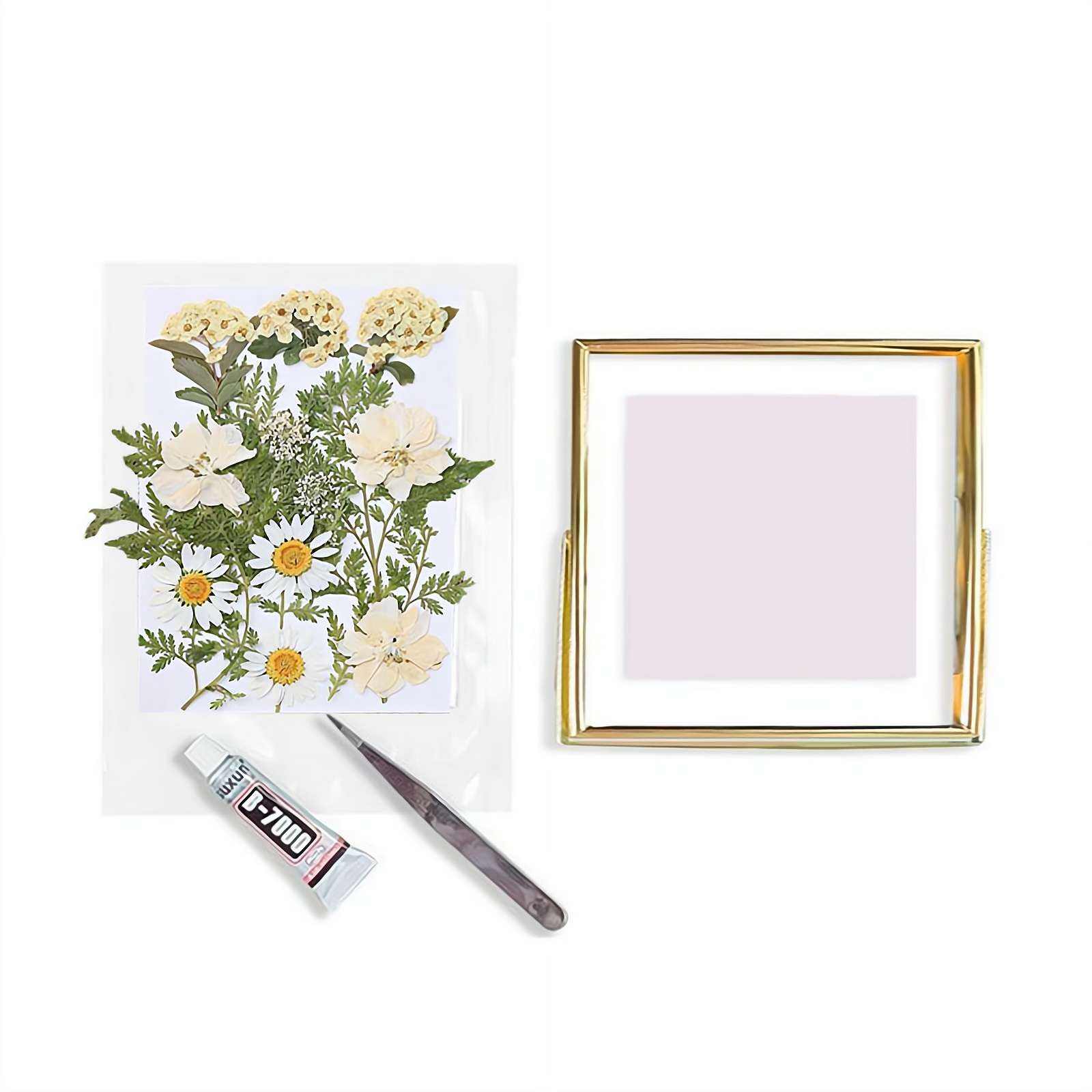 Gold Picture Frame Set w Dried Flowers and Tweezer Double Glass Pressed ...