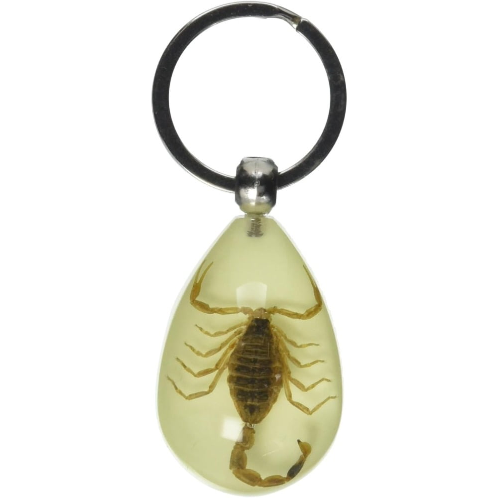 Gold Scorpion Tear Drop Glow in The Dark Key Chain 5.3" x 7.7 ...