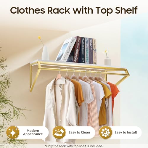 Gold Shelf with Hanging Rod Wall Mounted Clothes Rack with Shelf ...