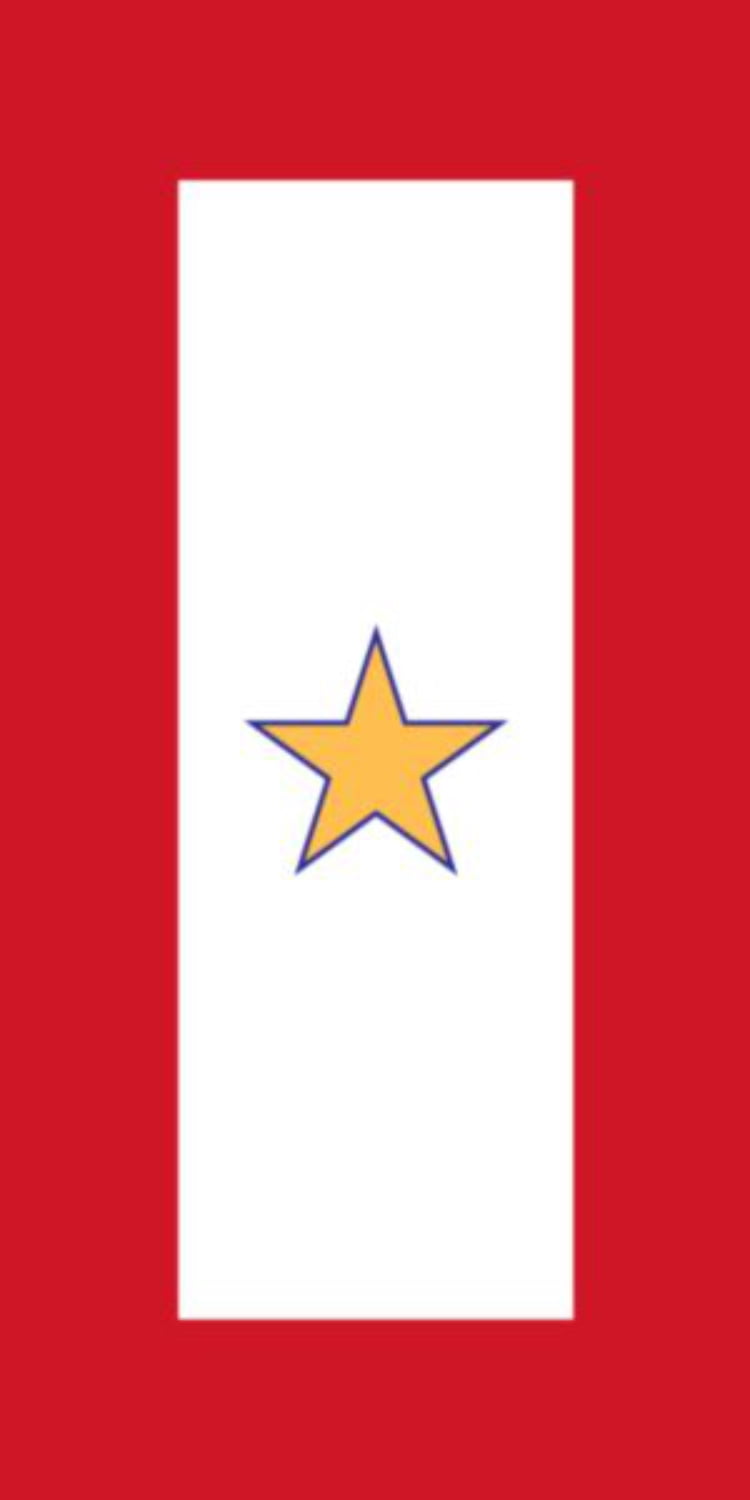 Gold Star Service Decal - Veteran Owned Business - Walmart.com