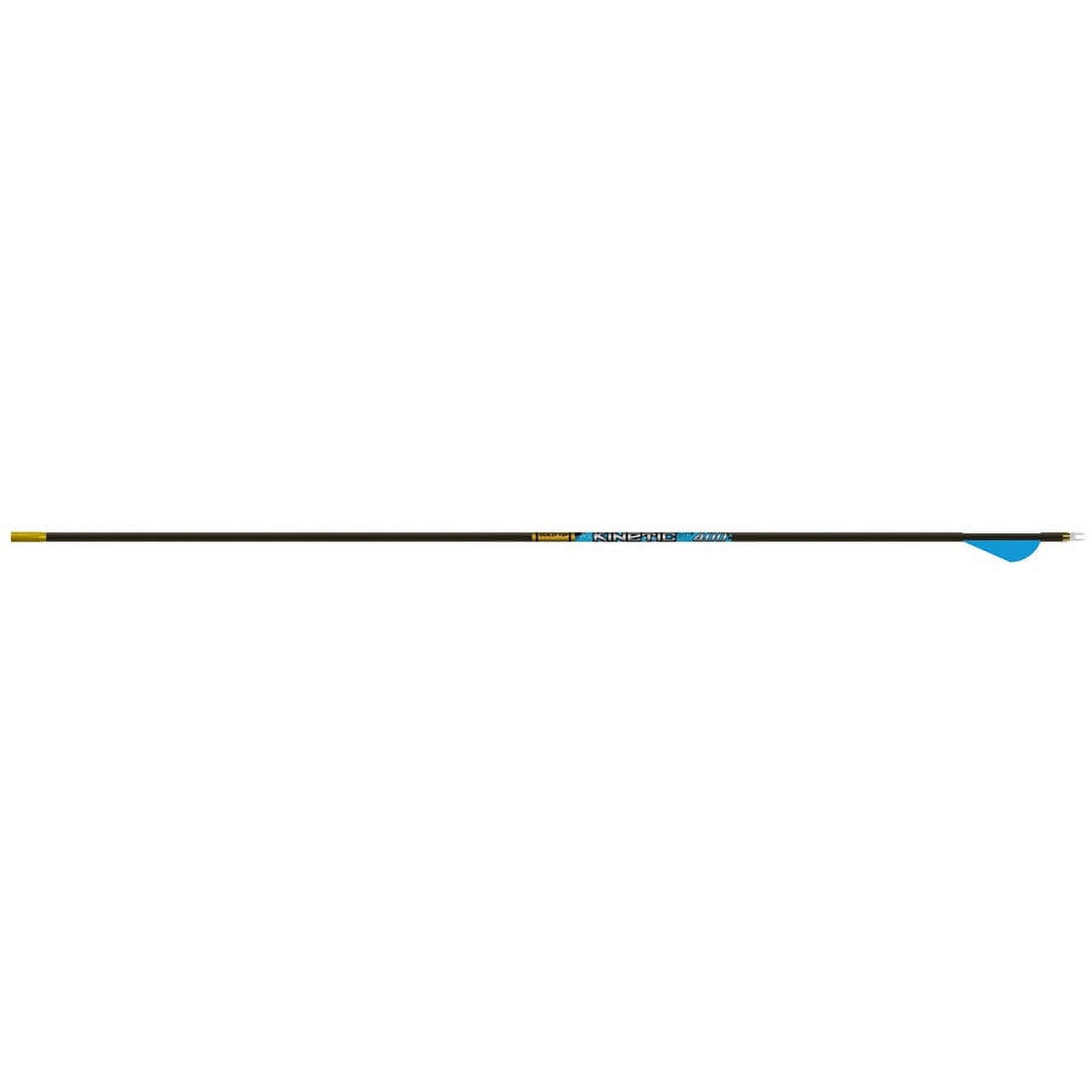 Gold Tip Kinetic KAOS, 400 2 inch Raptor Vanes, 1dz - Walmart.com