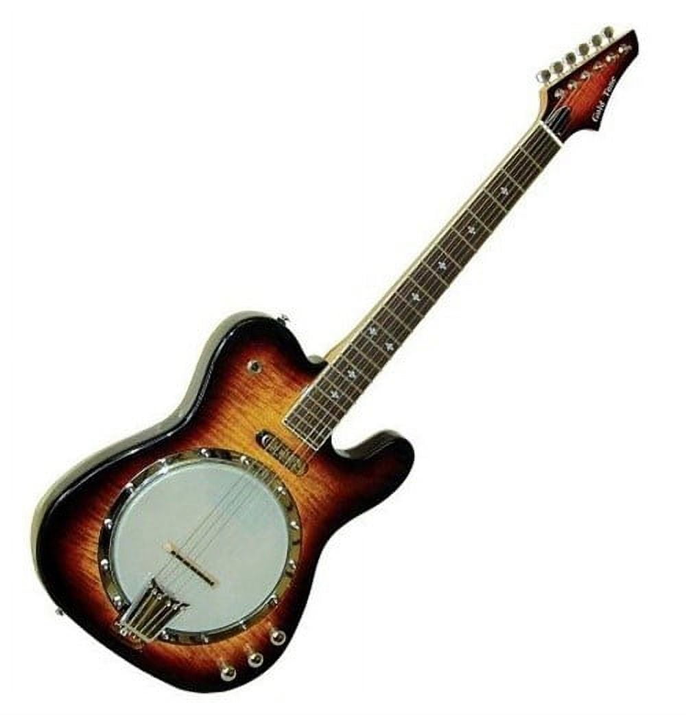 Gold Tone 6-String Electric Banjitar w/ Hard Case - Walmart.com