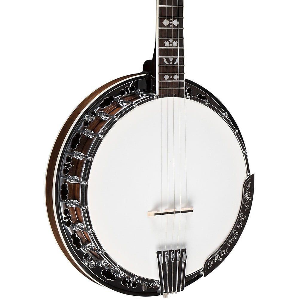 Gold Tone BG-150F Left-Handed Bluegrass Banjo with Flange Vintage Brown ...