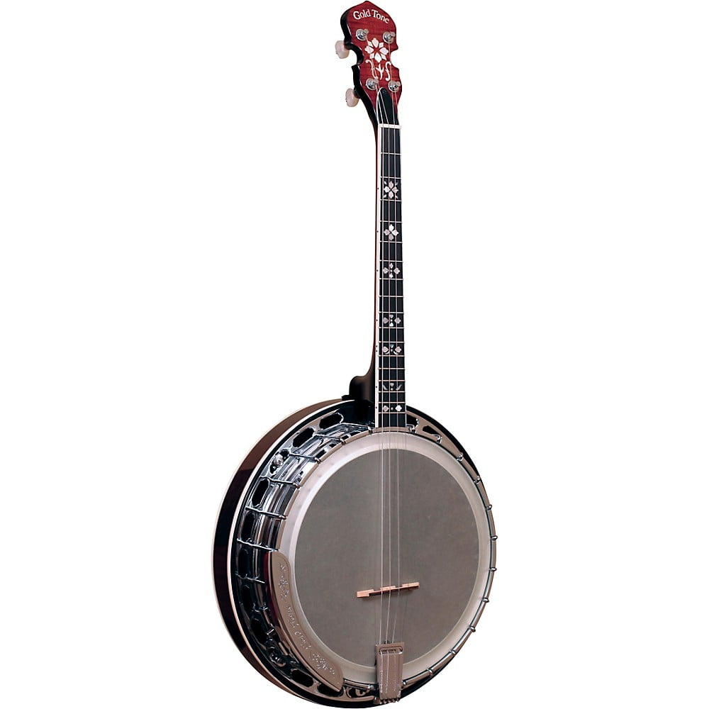 Gold Tone Mastertone IT-250F/L Left-Handed Irish Tenor Banjo With ...
