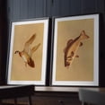 Gold Wildlife Prints: Retro Outdoors Art Duck + Fish Poster Set Set 2 ...