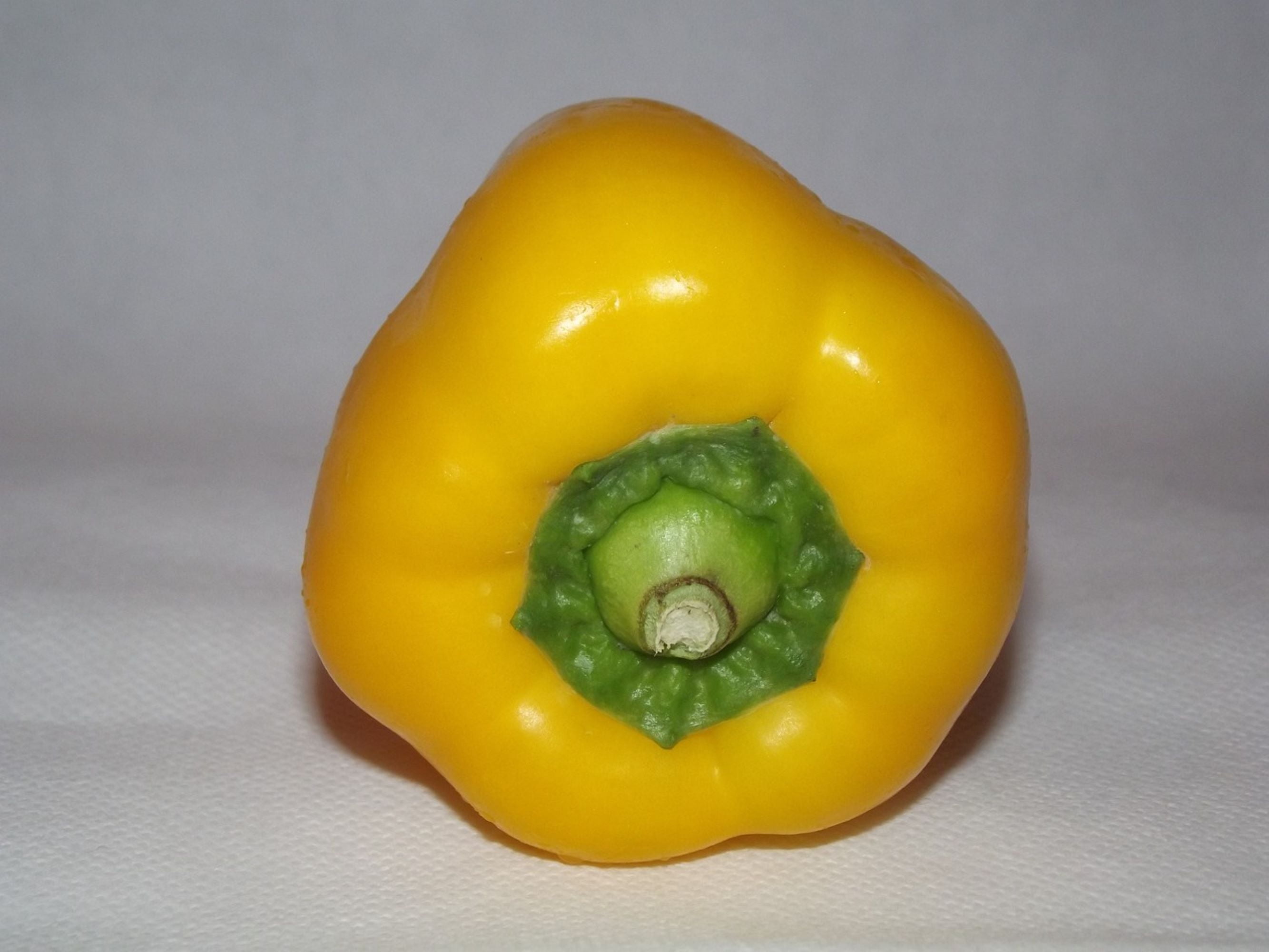 Golden California Wonder Bell Pepper/Perennial/Full Sun/30 Seeds 1/4 ...