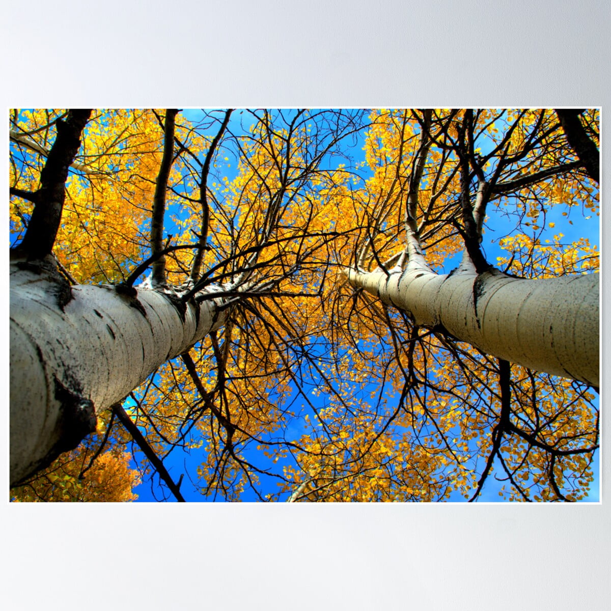 Golden Canopy Poster Wall Art, Modern Wall Decor For Living Room ...