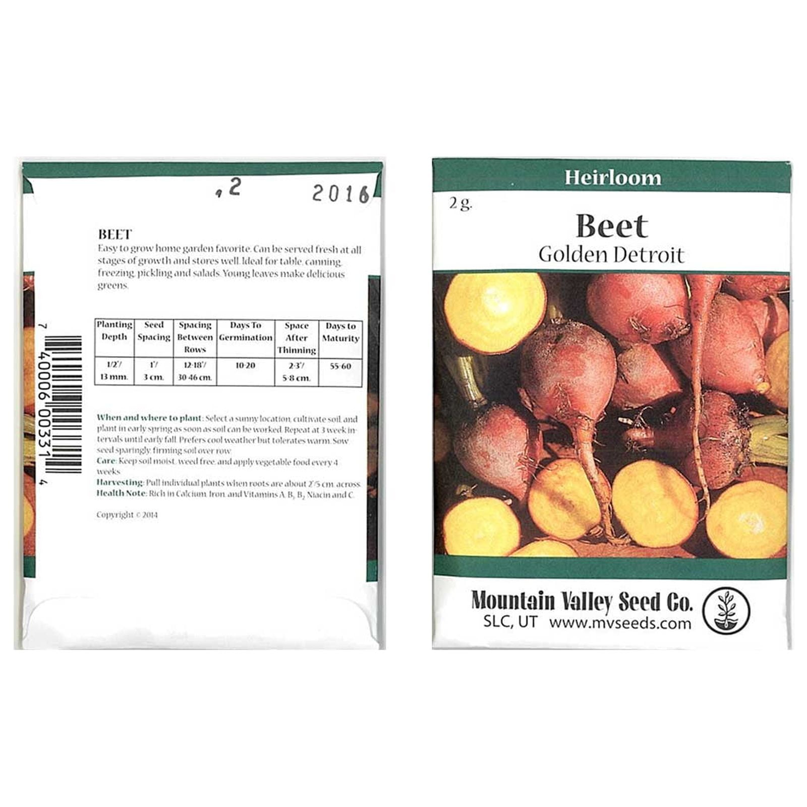 Golden Detroit Beet Seeds - 2 Gram Packet - Non-GMO, Heirloom - Root ...