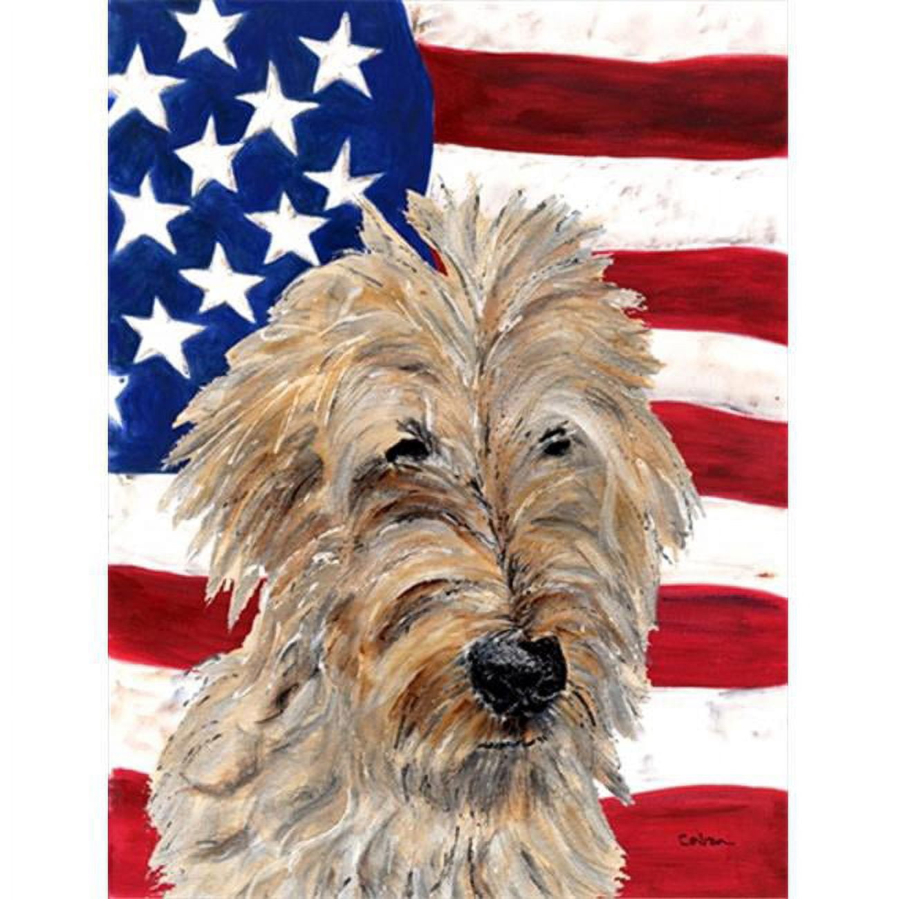 American Flag Doodle