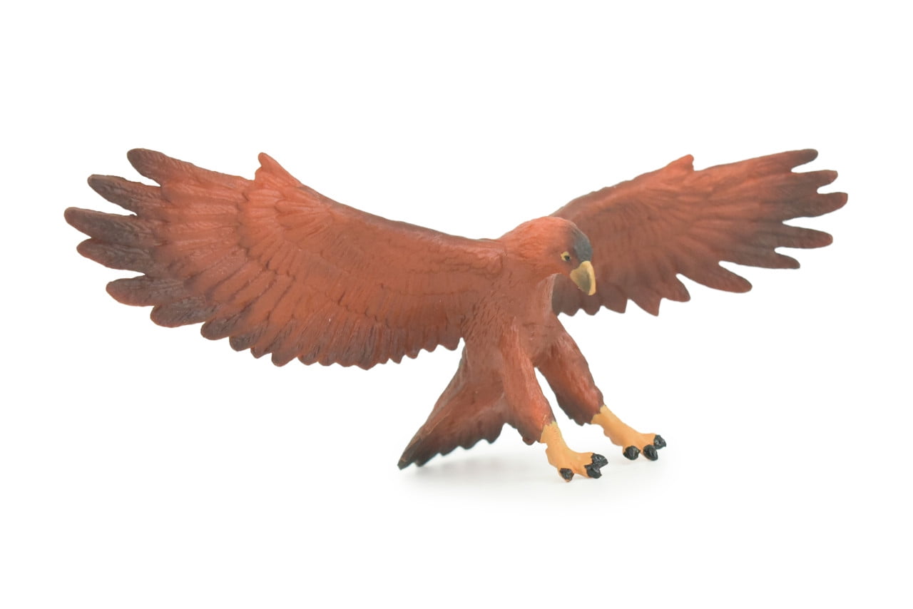 Golden Eagle, Hand Painted, Educational, High Quality Rubber Bird ...