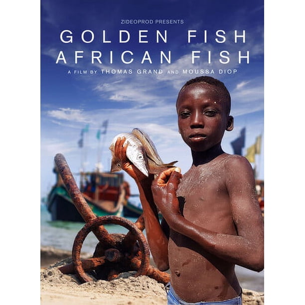 Golden Fish African Fish (DVD), Wow Now Studios, Documentary - Walmart ...
