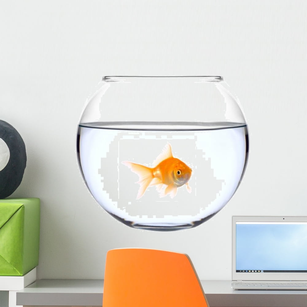 Golden Fish Bowl Wall Decal by Wallmonkeys Peel and Stick Graphic (18 ...