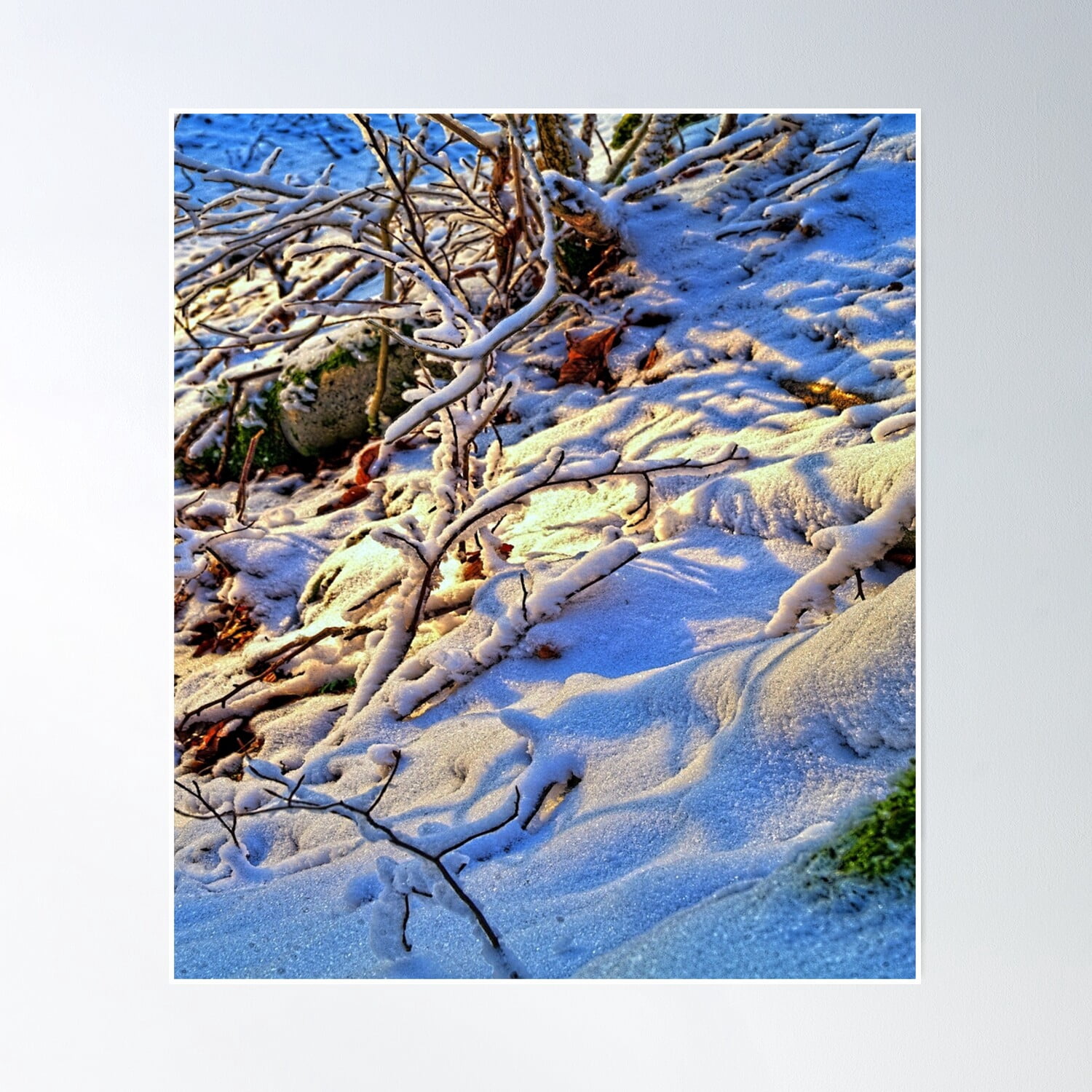 Golden Light In The Winter Forest Poster Wall Art, Modern Wall Decor ...