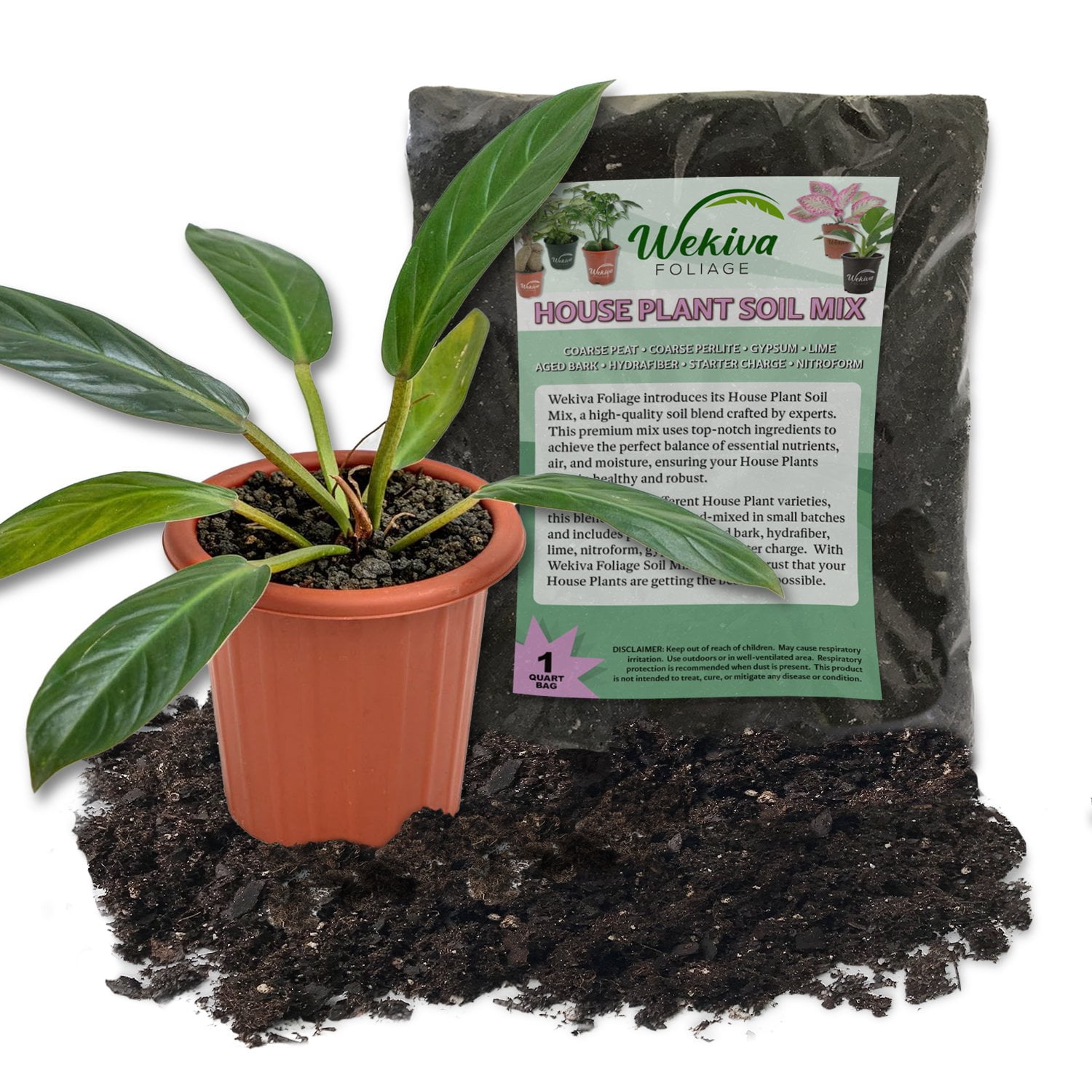 Golden Melonii Philodendron and Soil Mix Combo - Live Plant in a 4 Inch ...