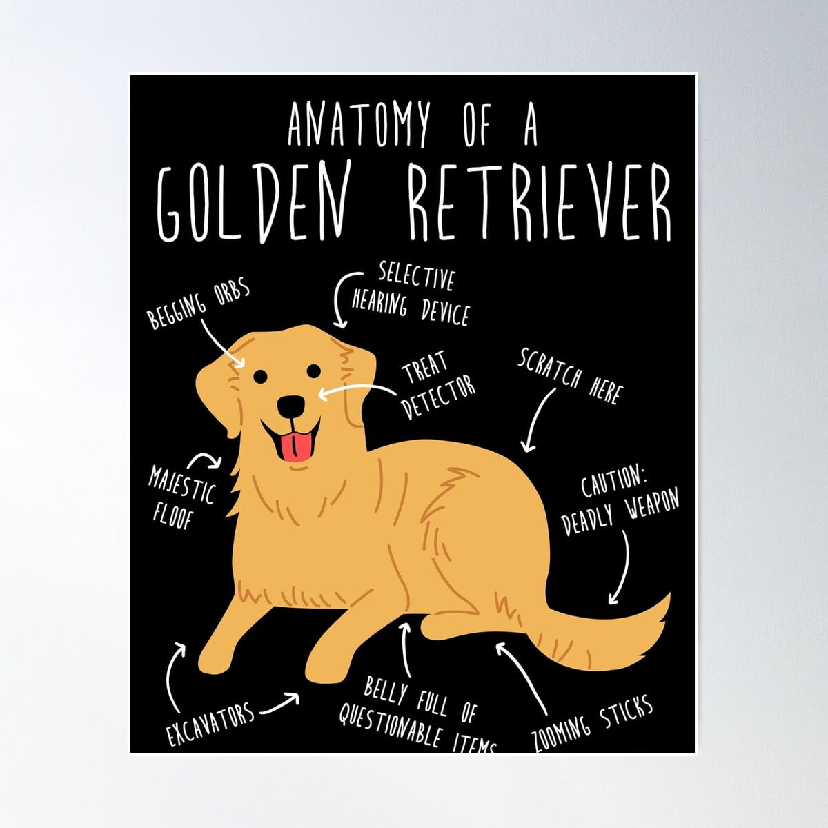 Golden Retriever Anatomy Poster Wall Art, Modern Wall Decor For Living Room Bedroom, 18x24 ...