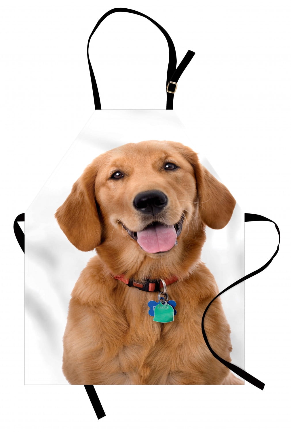 Golden Retriever Apron Portrait of Young Pedigreed Dog Wearing a Collar ...