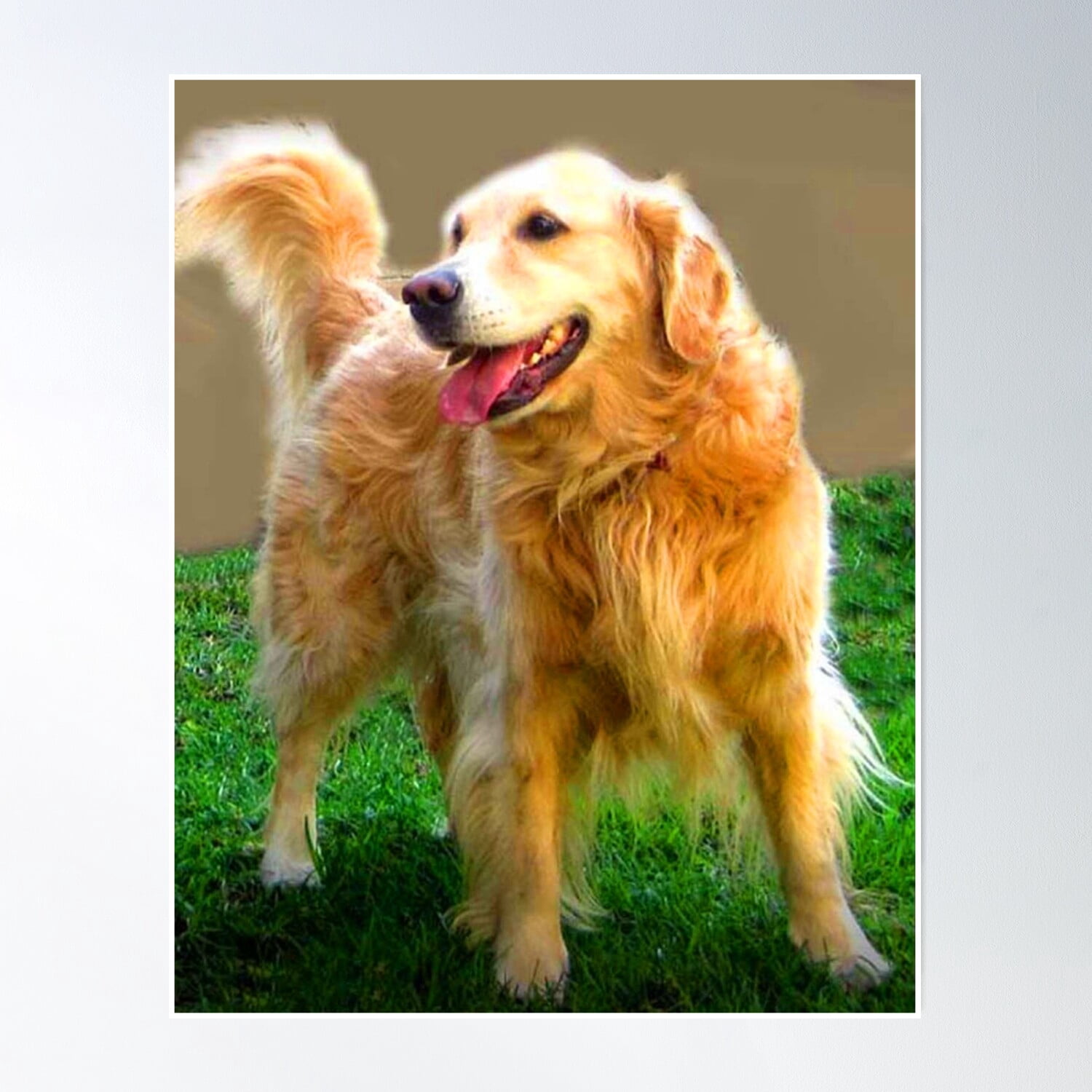 Golden Retriever Happy Dog Poster Wall Art, Modern Wall Decor, 8x12 ...
