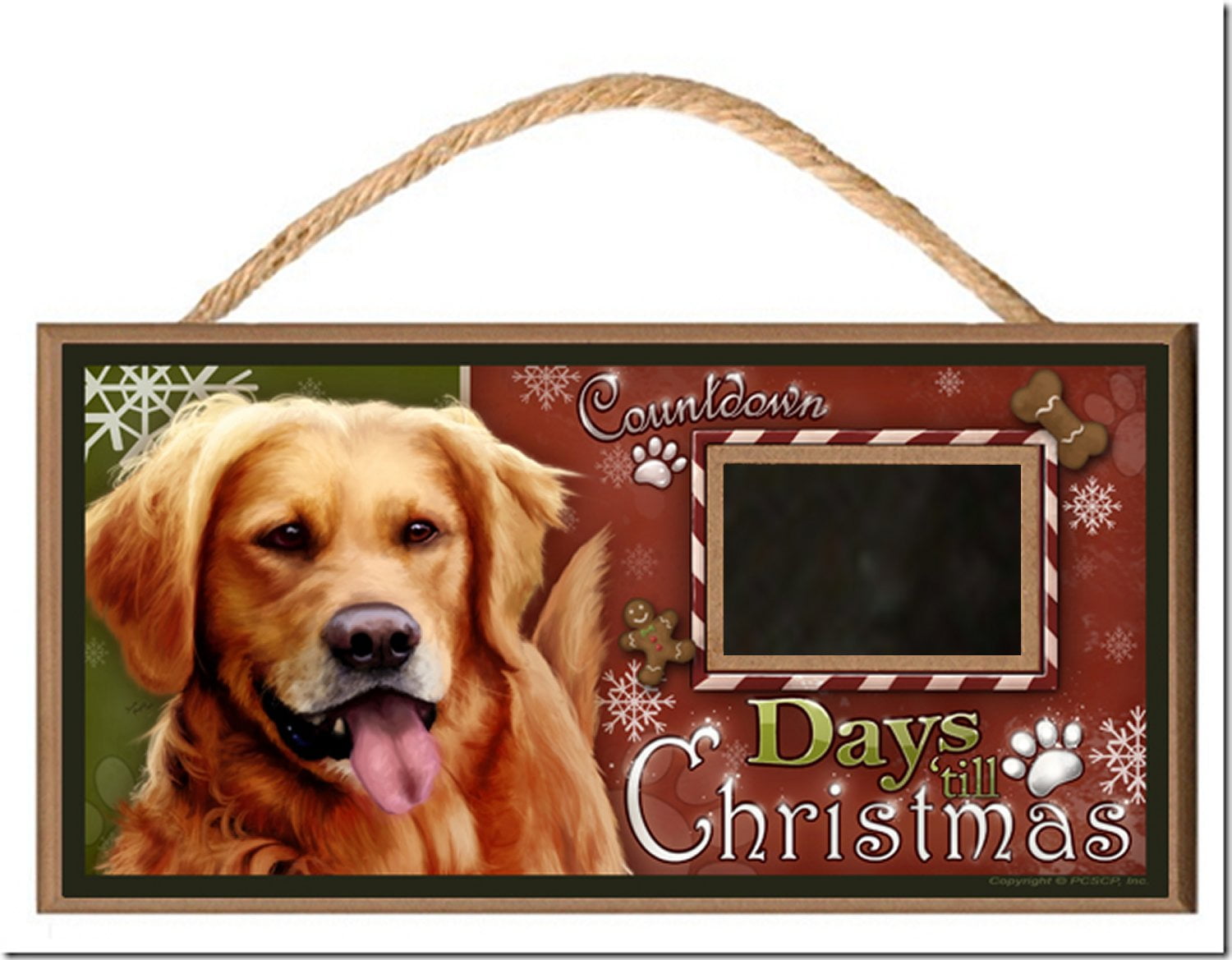 Golden Retriever "Holiday Countdown" Dog Sign / Plaque featuring the ...
