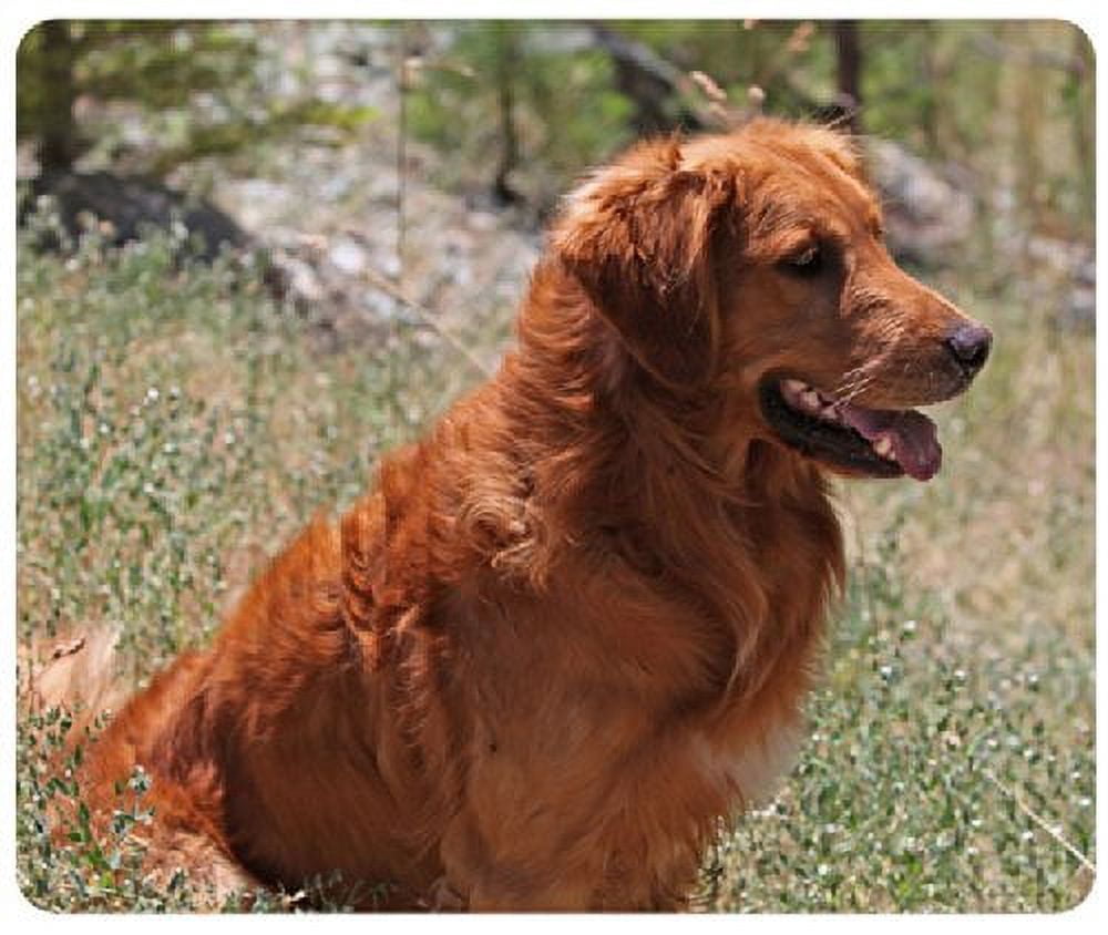 Golden Retriever Mouse pads Gaming Mouse Pad 9.84x7.87 inches - Walmart.com