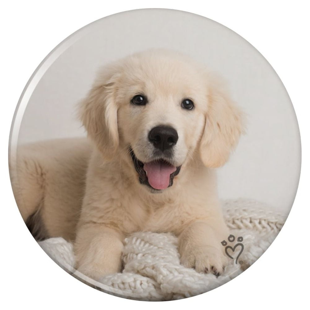 Golden Retriever Puppy Dog and Blanket Pinback Button Pin - Walmart.com