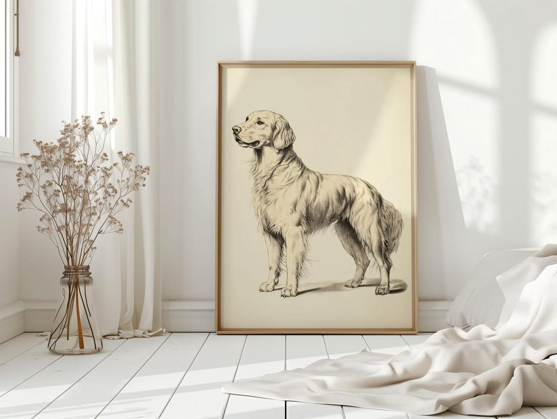 Golden Retriever Vintage Sketch – Elegant Black Ink Dog Drawing For ...