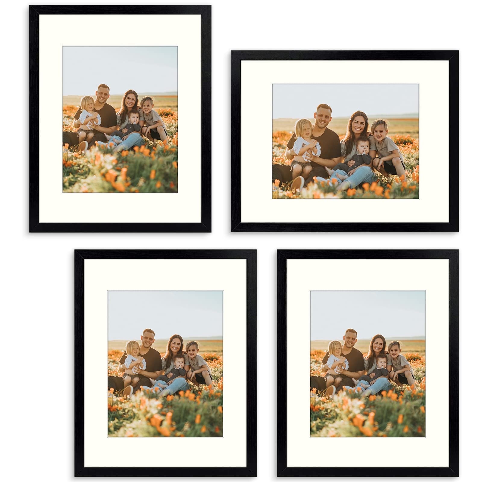 Golden State Art 11x14 Wall Display Picture Frames Matted to 8x10 ...
