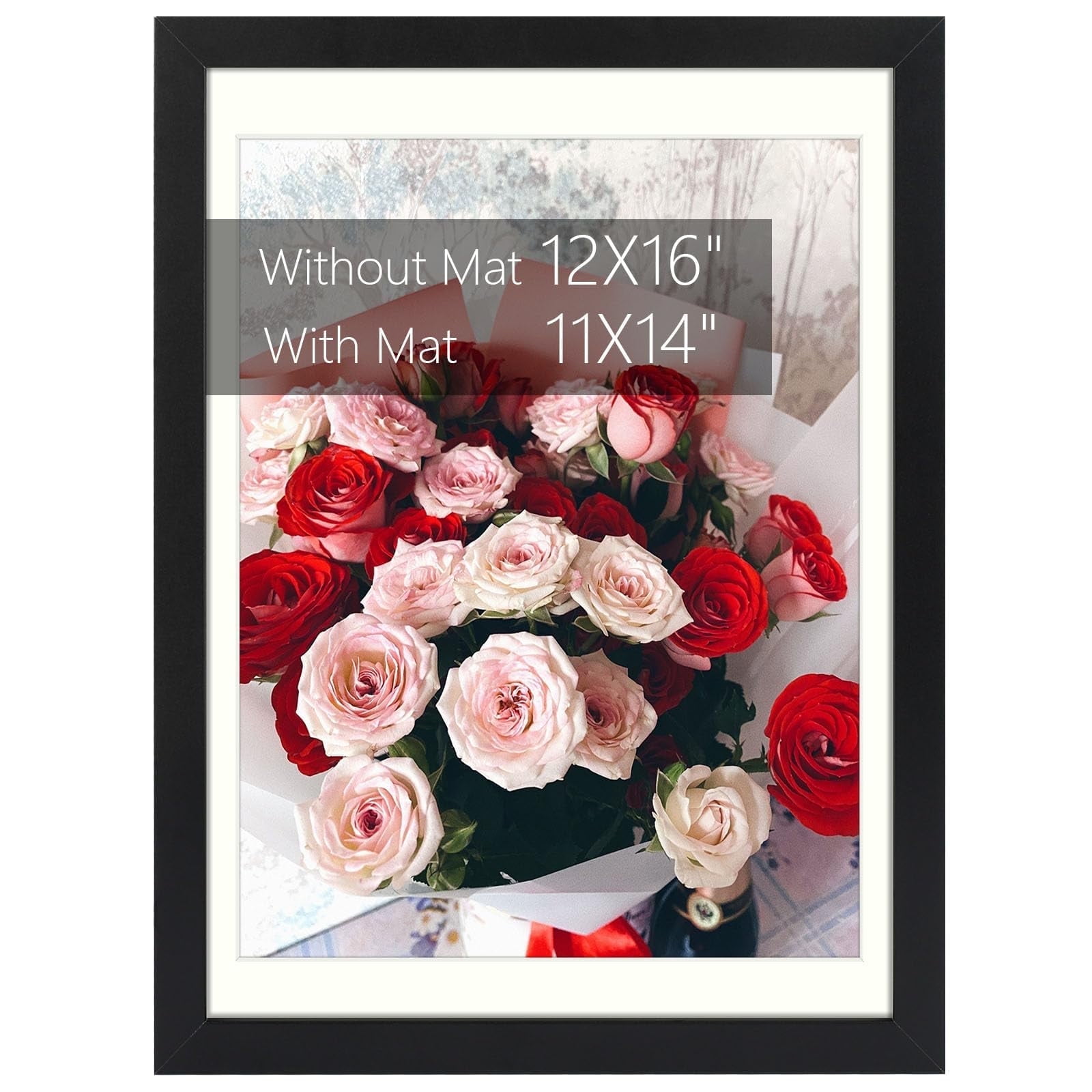 Golden State Art 12x16 Wall Display Picture Frame Matted to 11x14 ...