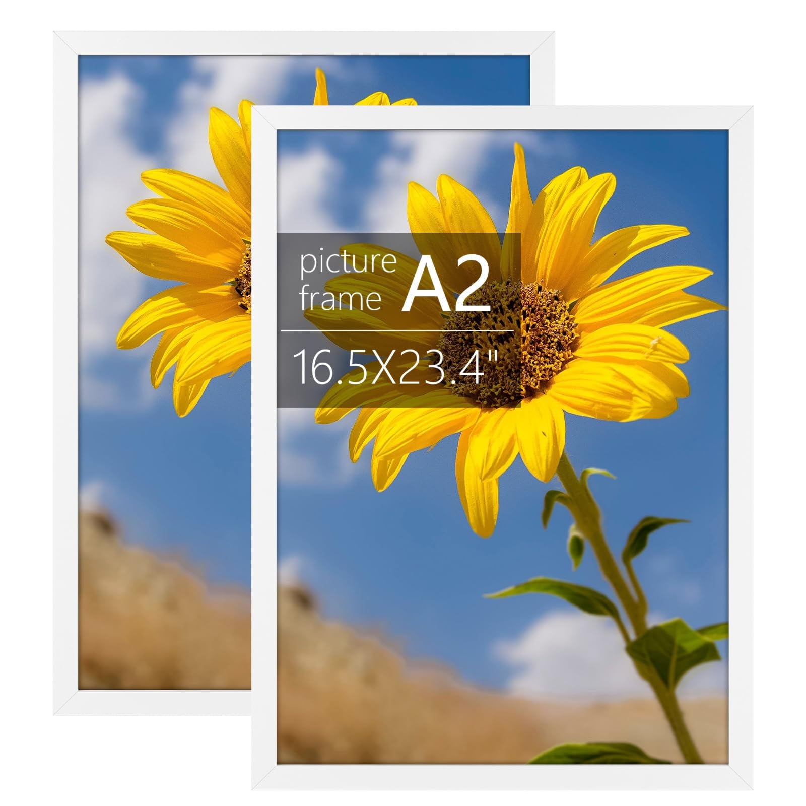 Golden State Art, Picture Frames, 16.5x23.4 Inch, Set of 2 - Walmart.com