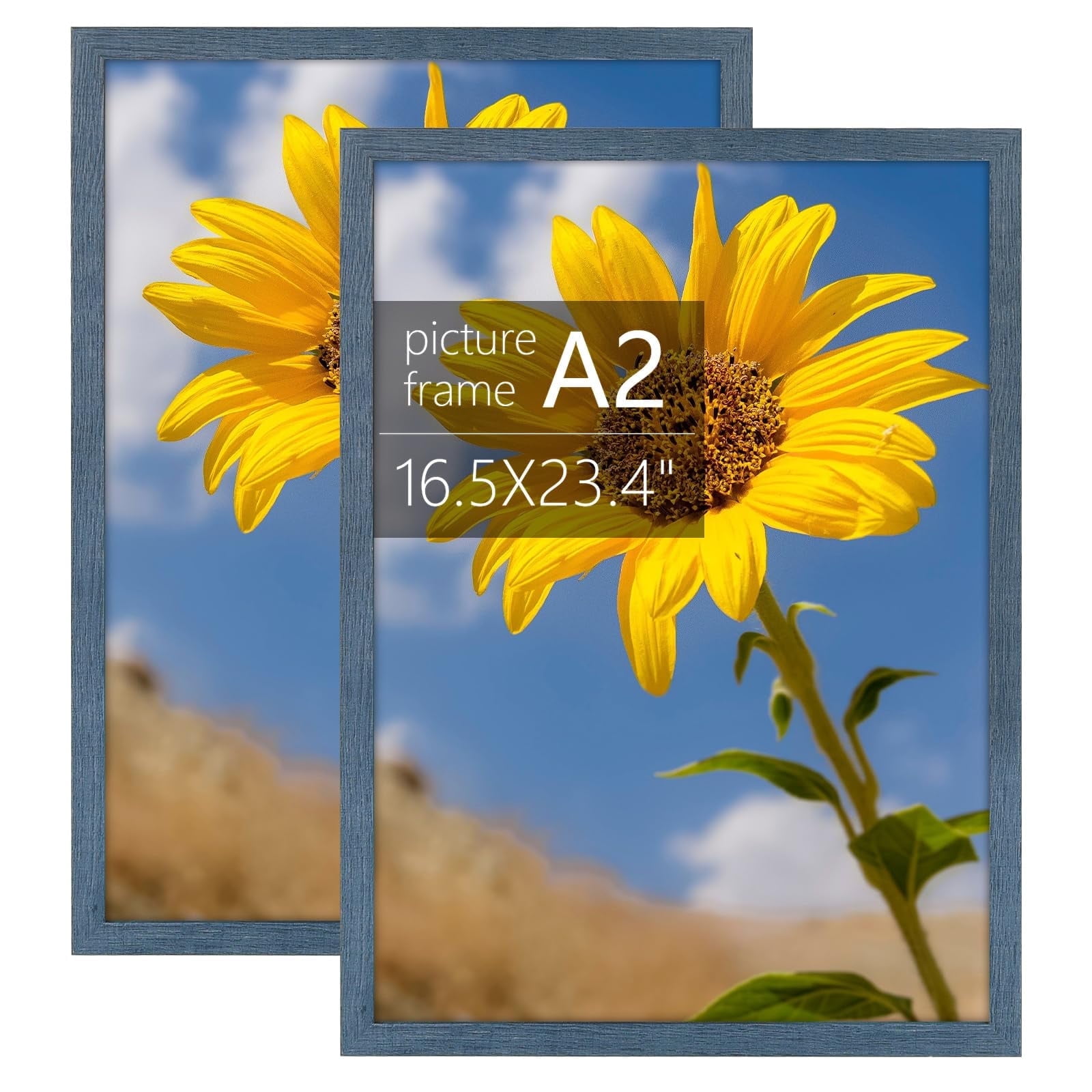 Golden State Art A2 16.5x23.4 Inch Wall Picture Frames with Plexiglass, Blue, Set of 2 - Walmart.com