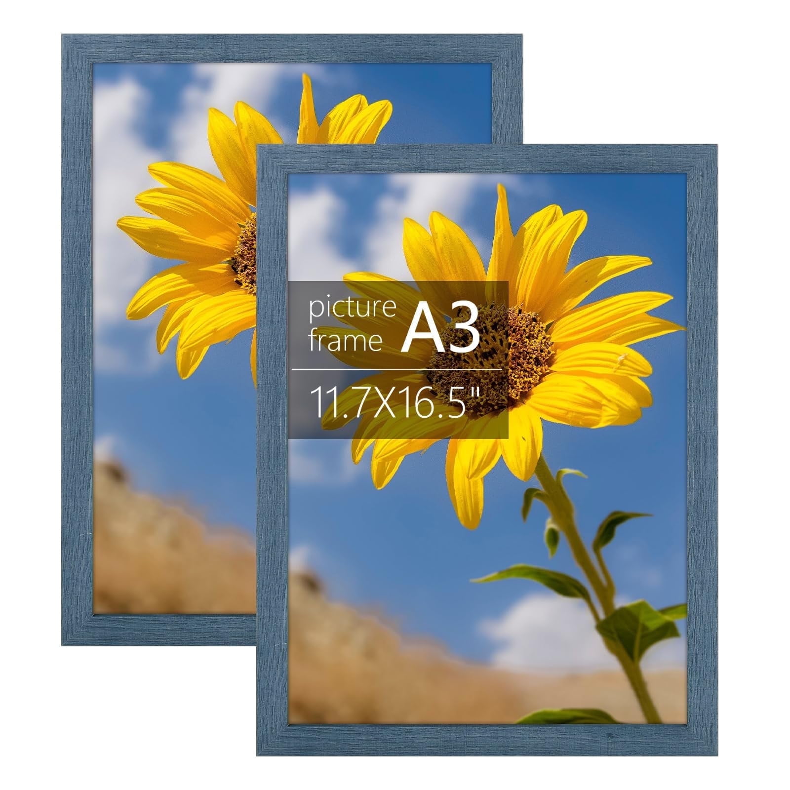 Golden State Art A3 11.7x16.5 Inch Picture Frames with Plexiglass, Blue ...