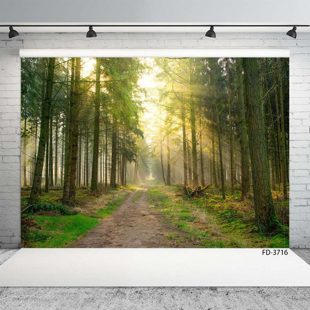 Golden Sunshine Foggy Forest Photographic Backdrops Avenue Vinyl ...