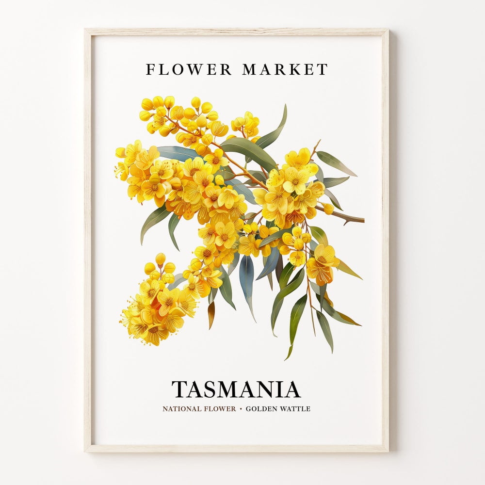 Golden Wattle Flower Wall Art Poster, Tasmania Australia, Flower Market ...