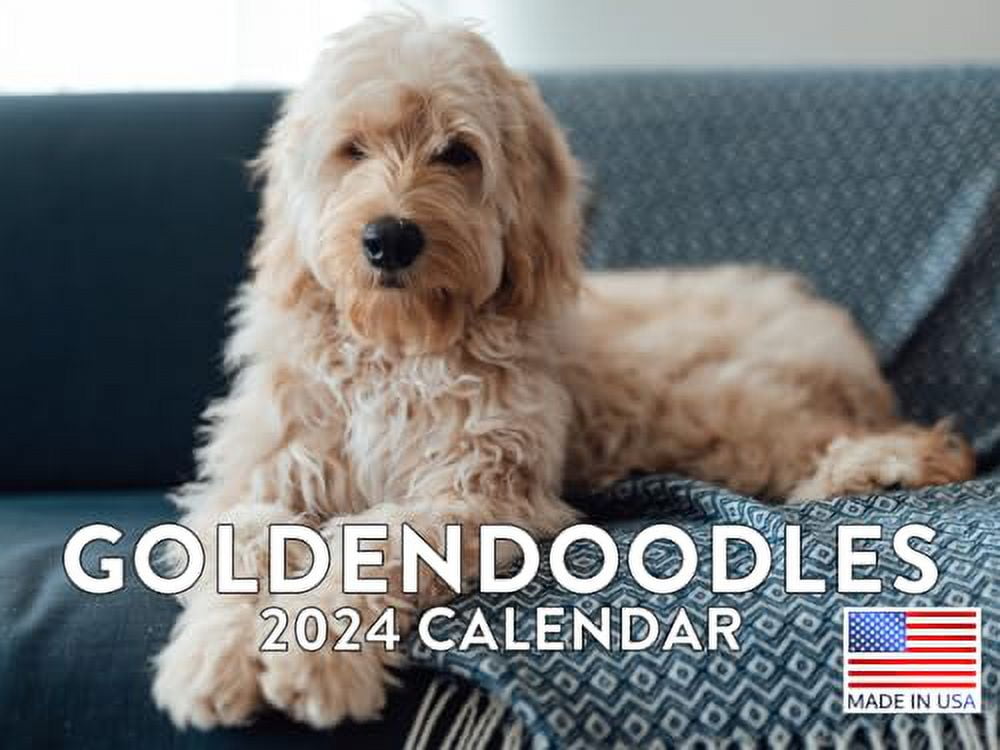 Goldendoodle Calendar 2024 Wall Monthly Doodle Calander 12 Month ...