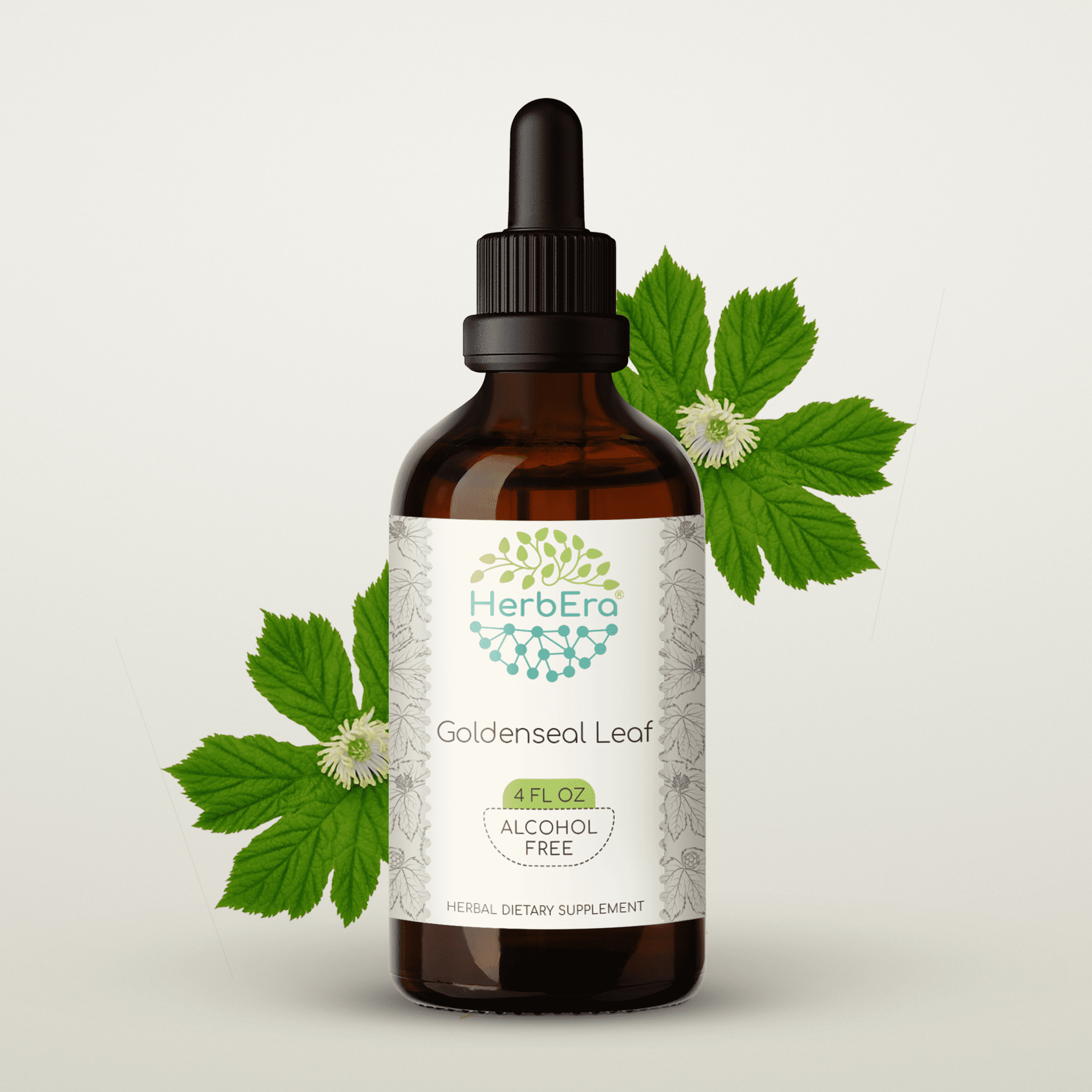 Goldenseal Leaf Alcohol-FREE Herbal Extract Tincture, Super ...