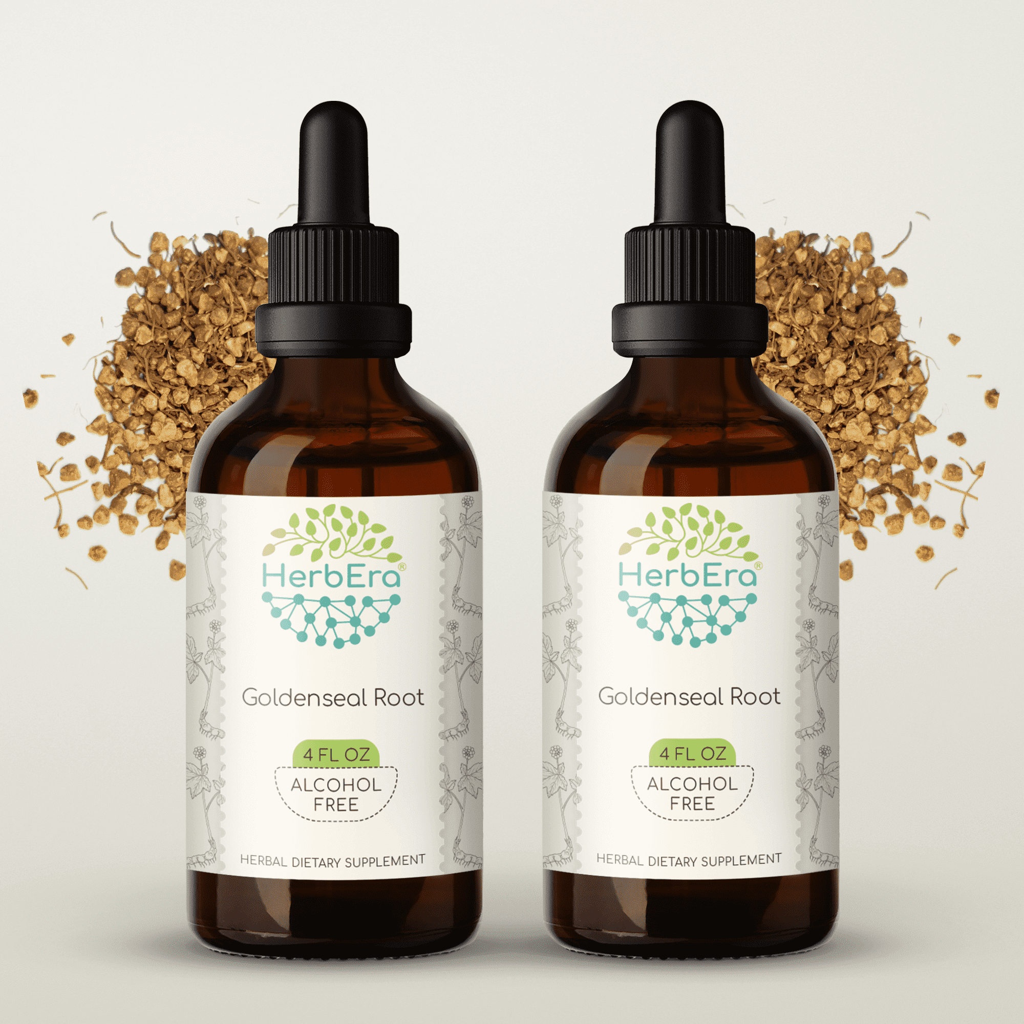 HerbEra Goldenseal Root Tincture, Herbal Dietary Supplement for Immune ...