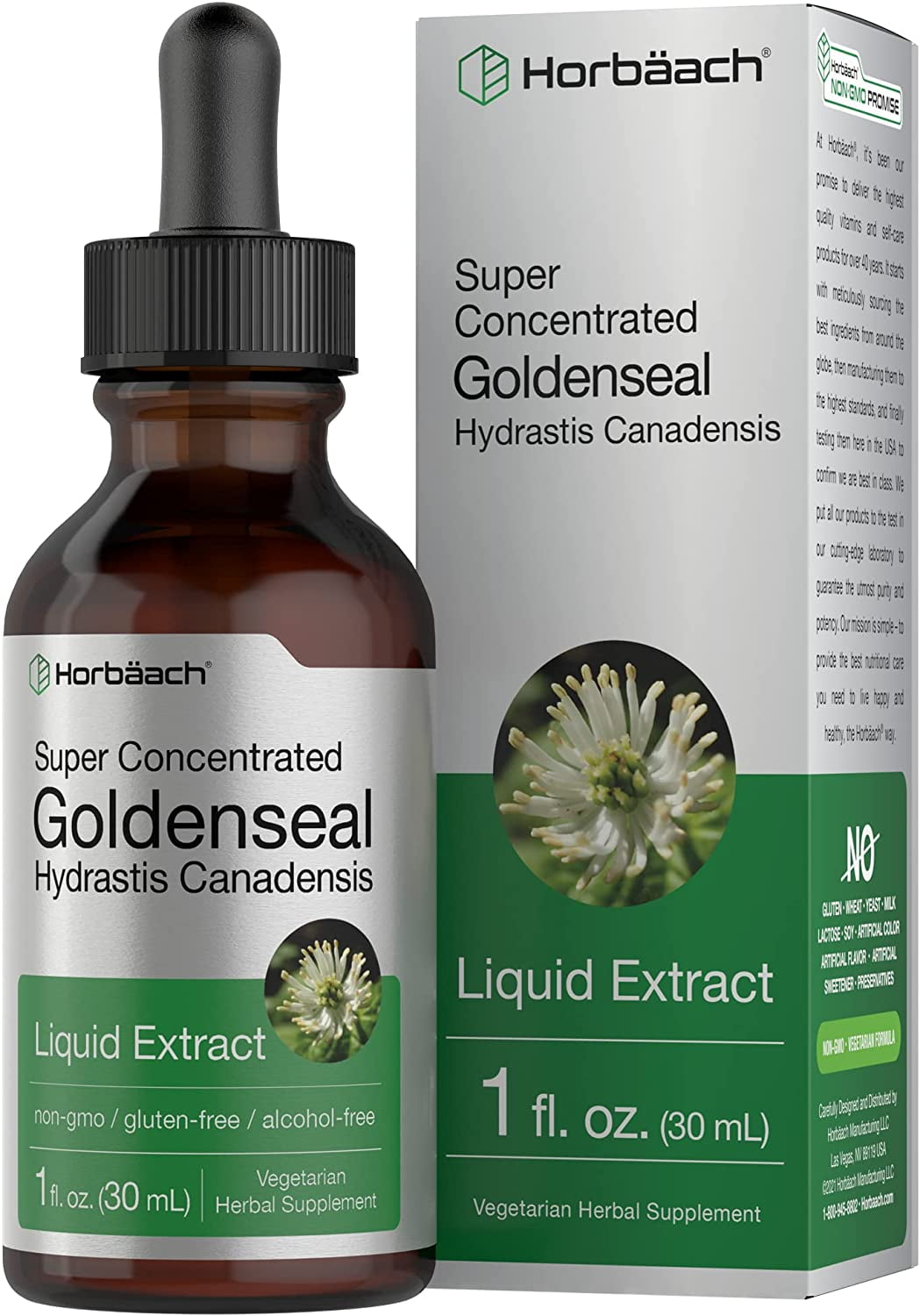 Horbaach Goldenseal Root Tincture | 1 oz | Vegetarian, Alcohol Free ...