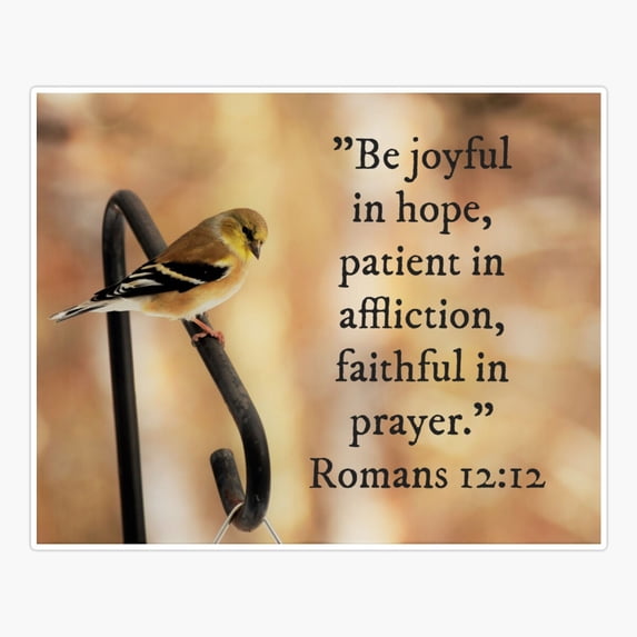 Goldfinch Romans 12:12 Sticker - Walmart.com