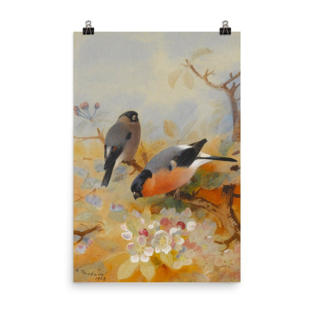 Goldfinches | Archibald Thorburn | 1908 Bird Art Print,Painting Art ...