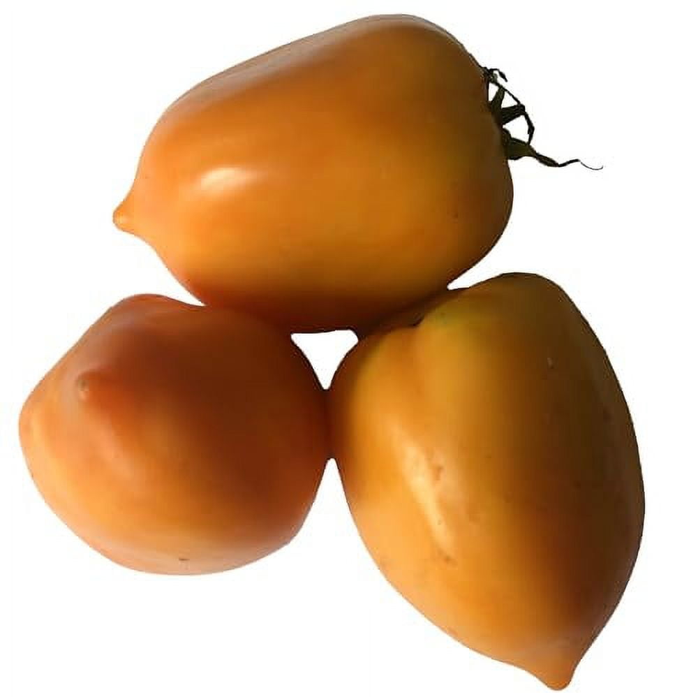 Goldfish Tomato Seeds (Solanum lycopersicum) 150 Seeds (0.5 Grams ...