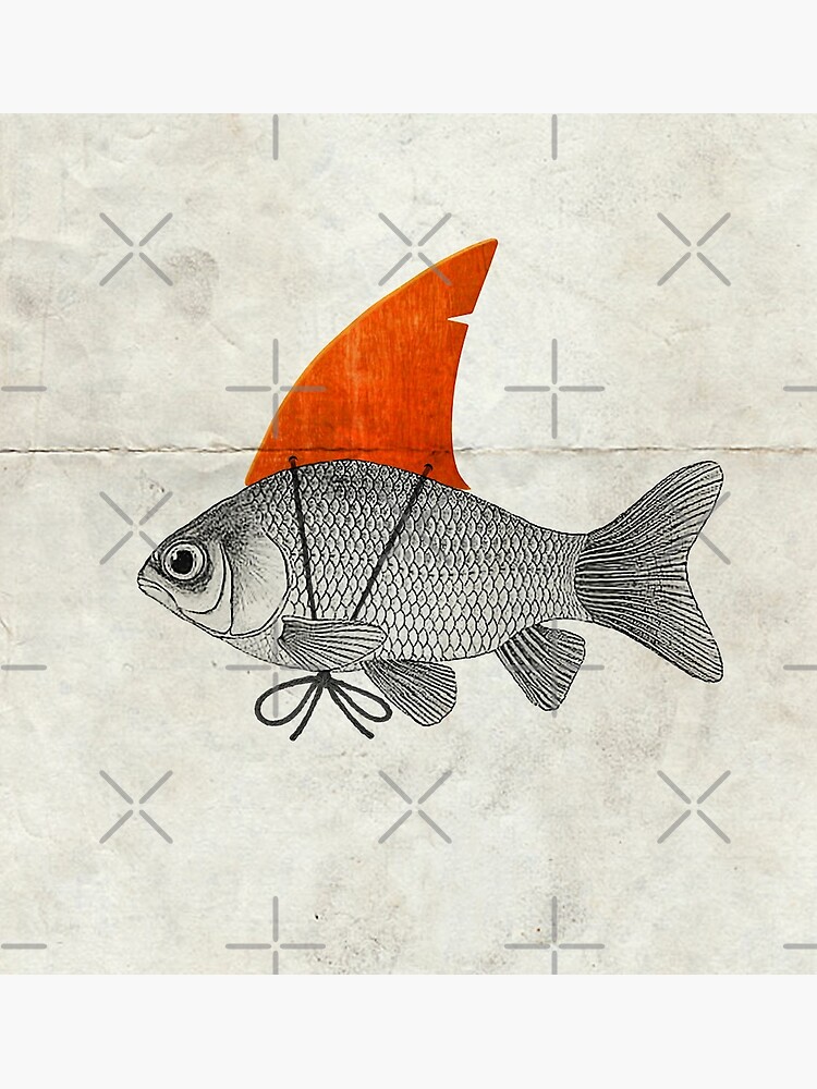 Goldfish with a Shark Fin Poster Framed-unframed - Walmart.com