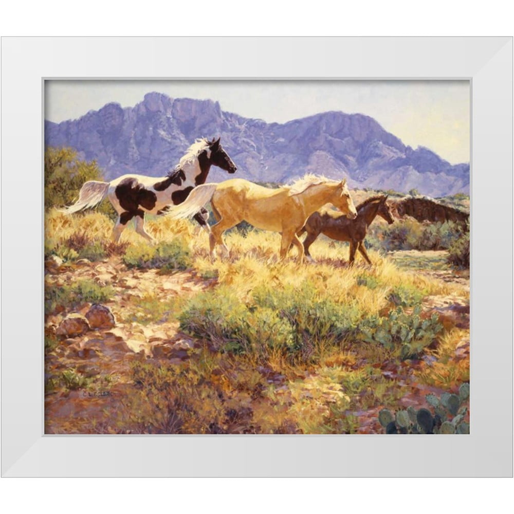 Goldrick, Claire 14x12 White Modern Wood Framed Museum Art Print Titled ...