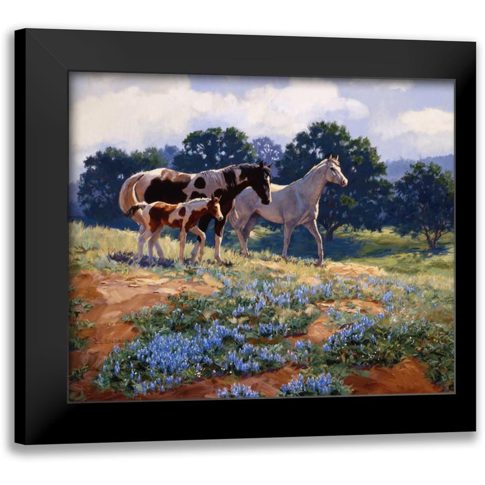 Goldrick, Claire 17x15 Black Modern Framed Museum Art Print Titled ...