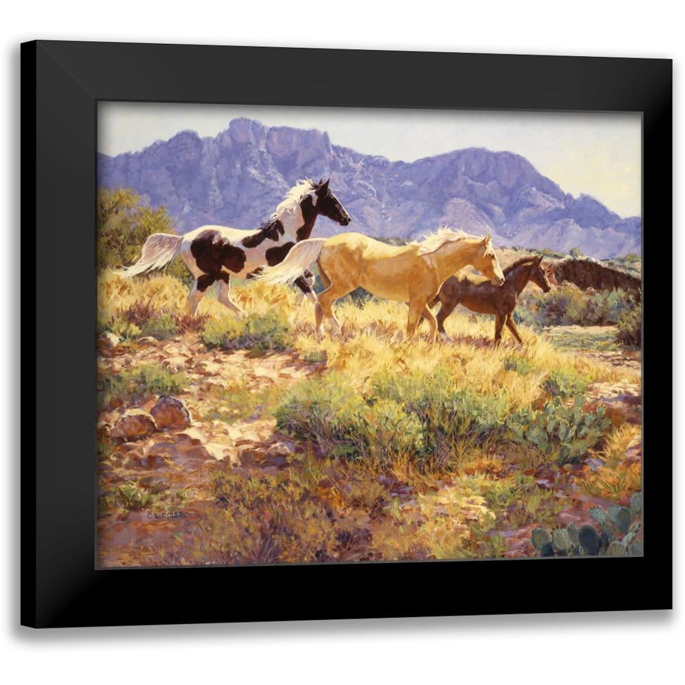 Goldrick, Claire 17x15 Black Modern Framed Museum Art Print Titled ...