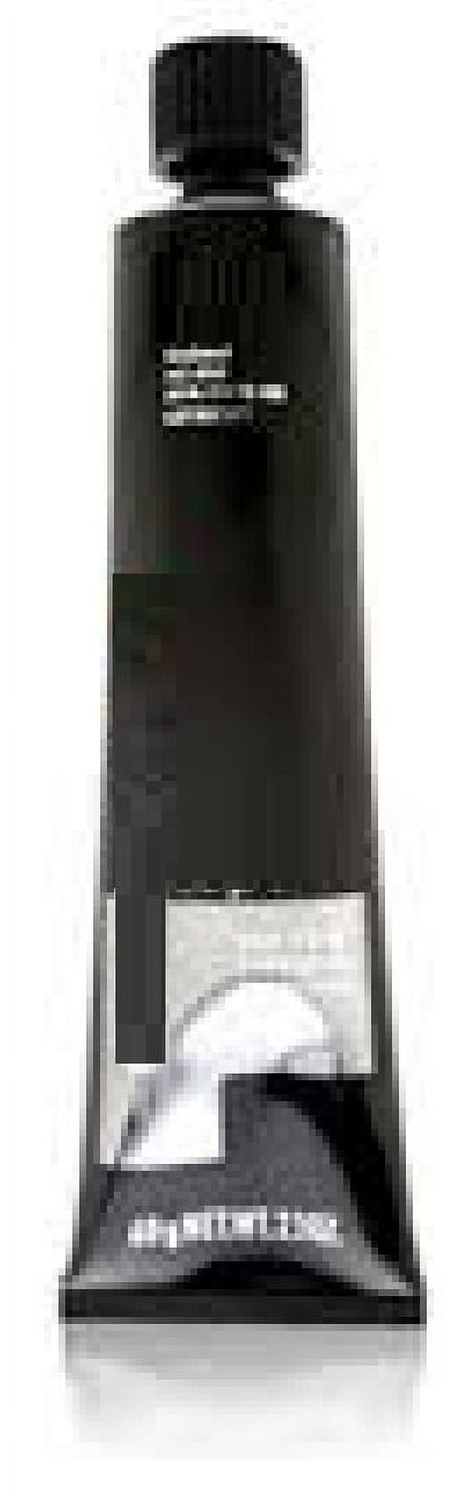 Goldwell Topchic Professional Hair Color (2.1 oz. tube) (8N@GB - Light ...