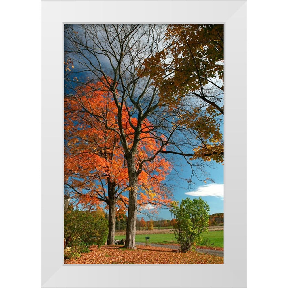 Goldwitz, Robert 11x14 White Modern Wood Framed Museum Art Print Titled ...