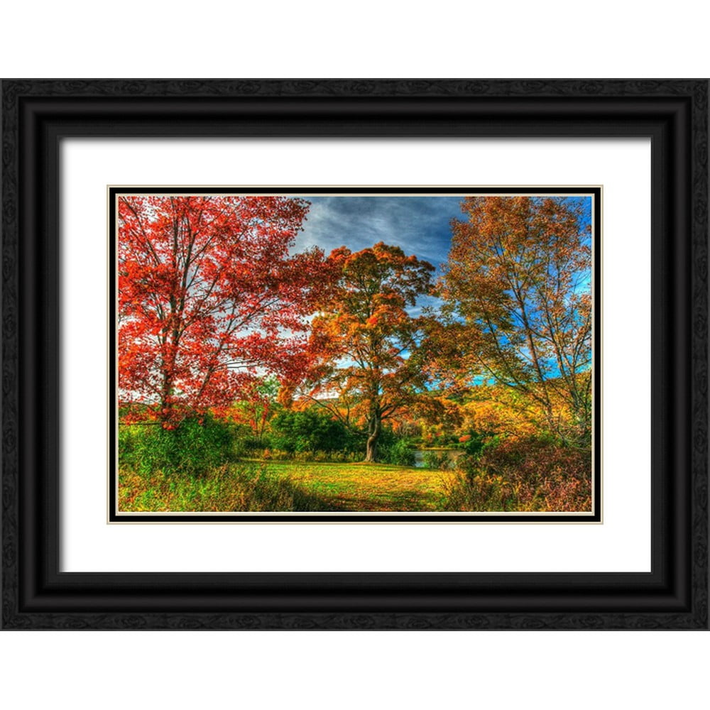 Goldwitz, Robert 14x11 Black Ornate Wood Framed with Double Matting ...