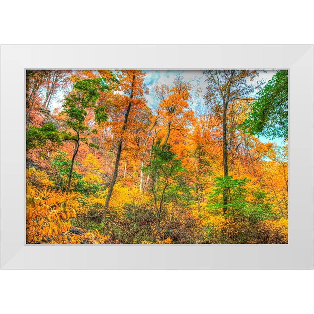 Goldwitz, Robert 18x13 White Modern Wood Framed Museum Art Print Titled ...